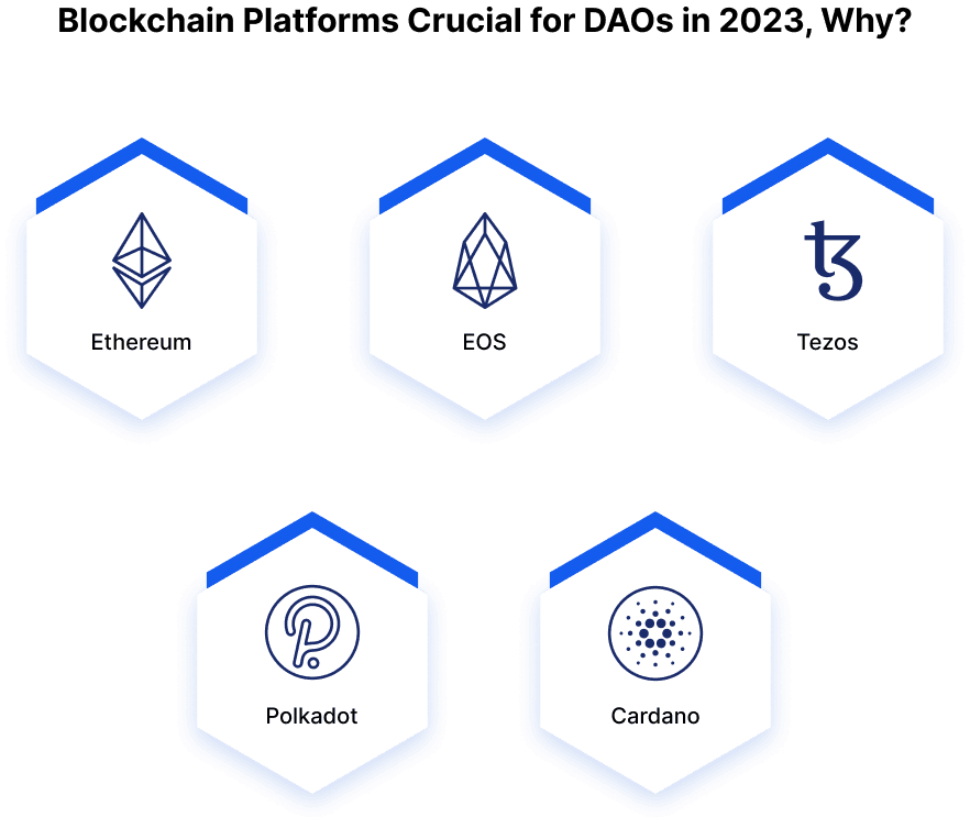 How to build a DAO on Blockchain in 2023